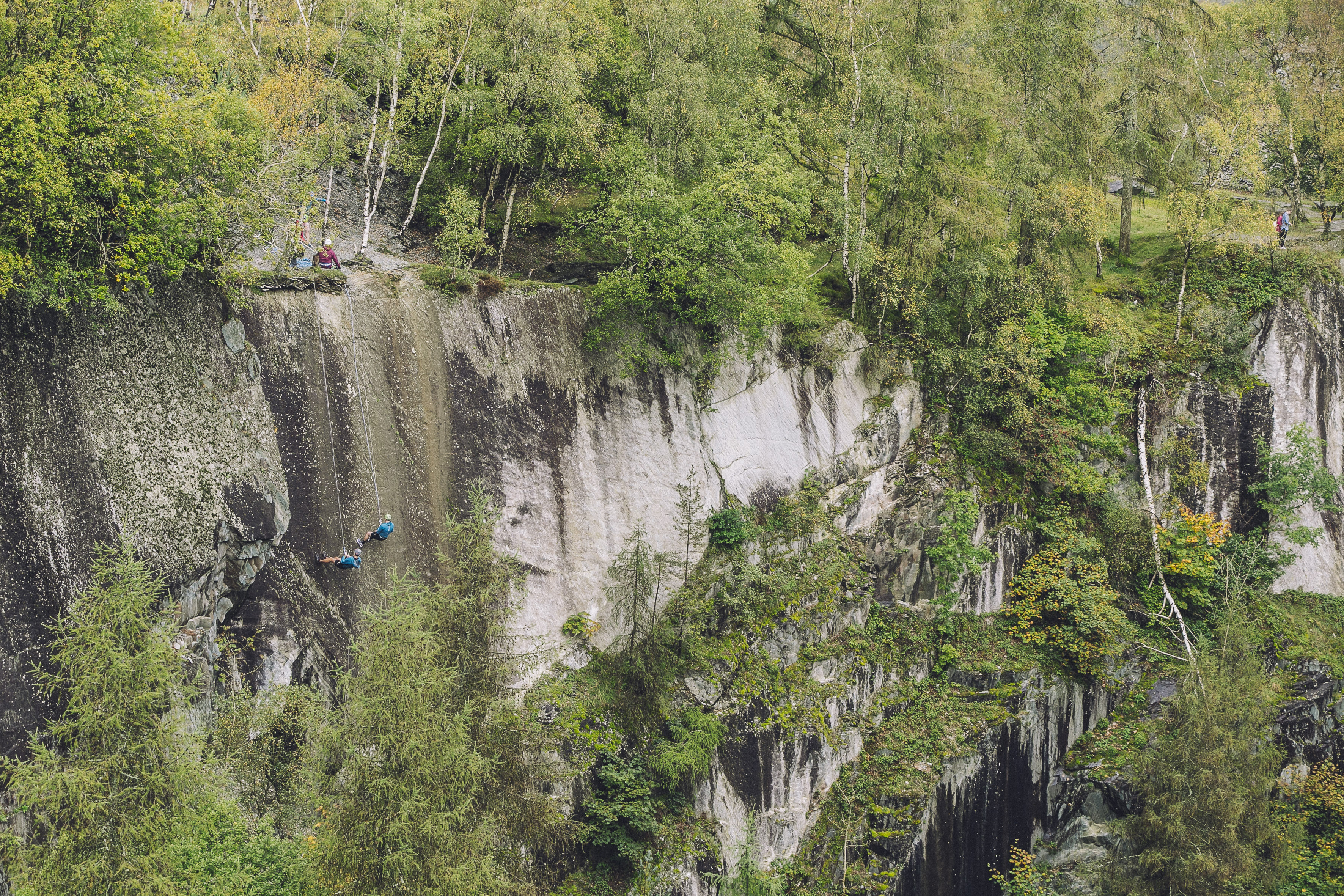 Dig Deeper Race 2021